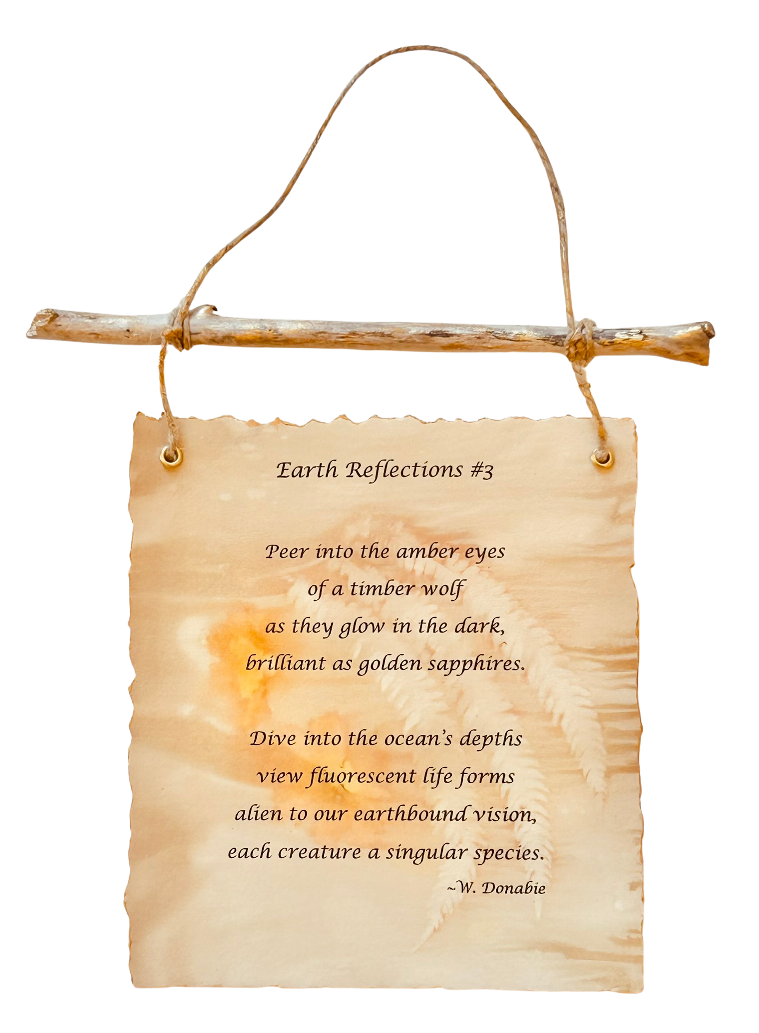 Earth Reflections #3 – Muskoka Arts & Crafts